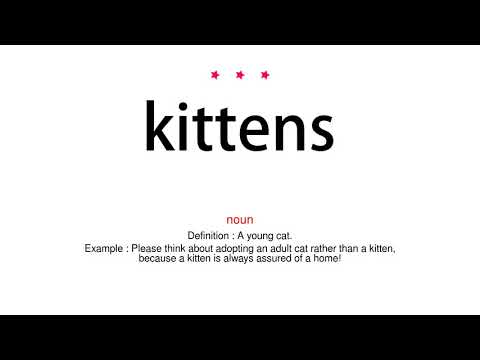 How to pronounce kittens - Vocab Today