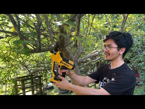 Amazing Battery Powered Cordless Pruner, Cut Up to 1.5 Inch | Review and Demo DEWALT 20V MAX Shears