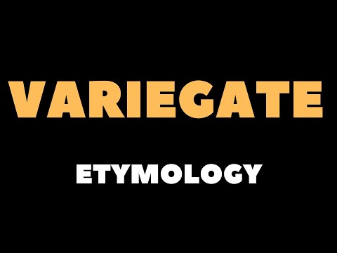 Variegate: How Latin Gave Us This Colourful Word