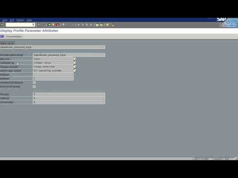 SAP Transactions for SAP System Parameters