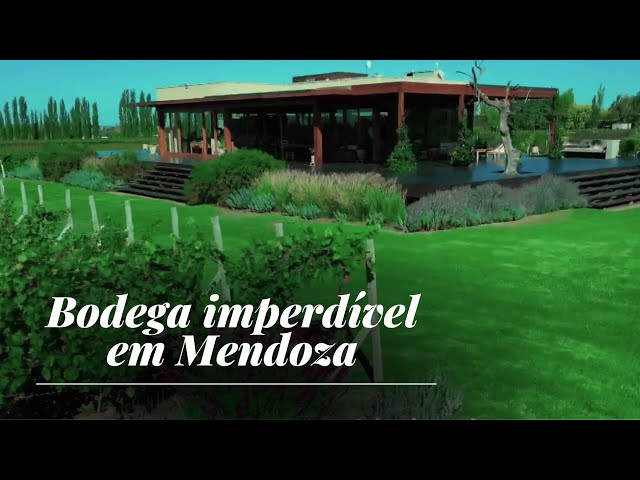 Cheval des Andes: conheça esse passeio imperdível em Mendoza | CNN Brasil