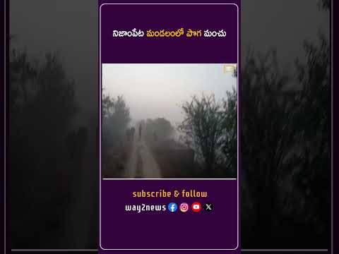 నిజాంపేట మండలంలో పొగ మంచు | Medak | Telangana | Way2news Telugu