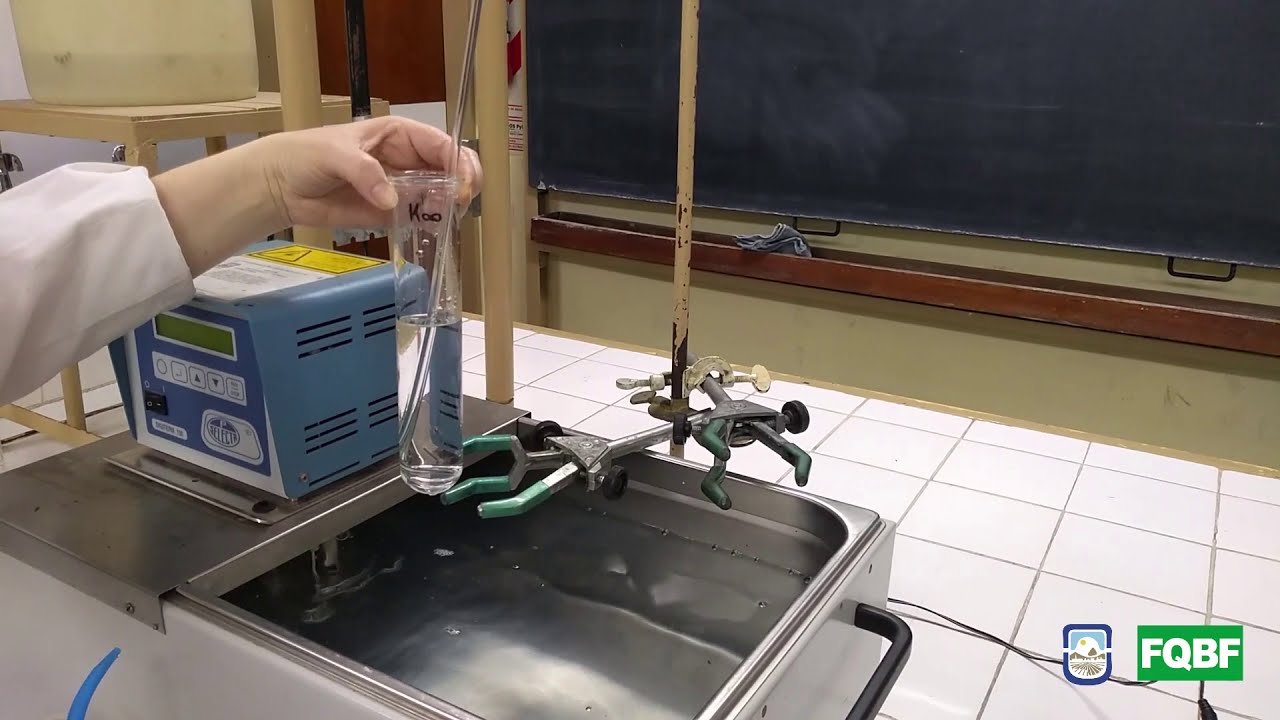 Trabajo Práctico de Laboratorio N° 4  - Cinética Química