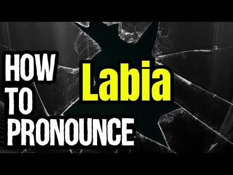 How To Pronounce Labia? (CORRECTLY) Meaning & Pronunciation