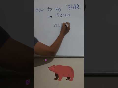 How to say 'BEAR' in French - Learn French | Onward Academy | #fyp #shorts #viralvideo #viral