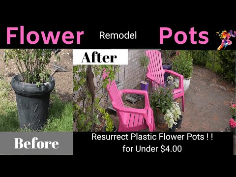 Patio Plastic Flower Pots | How to clean and renew by painting your plastic Pots in 15 mins DIY
