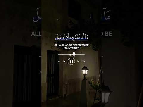 "Breaking Allah’s Covenant – Surah Al-Baqarah 2:27"✍🏻🔄#islamicshorts #quran#coran#quranshorts#edit