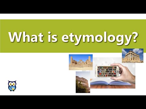 What is etymology?