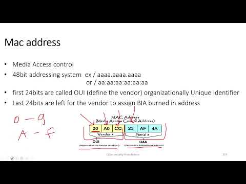 13 Understand Datalink Mac address IPv4 addresses and Subnet Mask - الورشه