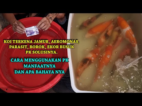CARA MENGGUNAKAN OBAT PK | MANFAAT DAN BAHAYA OBAT PK |