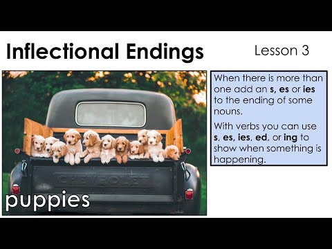 Inflected Endings s es ies - Lesson 3