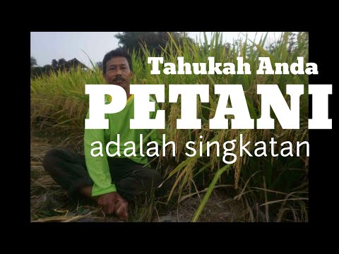 Ternyata PETANI adalah singkatan