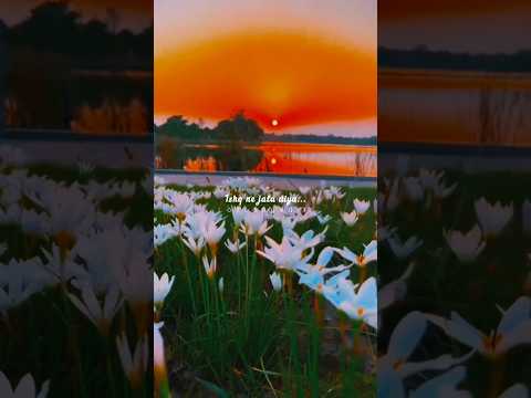 Ishq Ne 😭🥀💔| hindi song lyrics| aesethetic/lofi song|Whatsapp status|#shorts #trending #viral #song