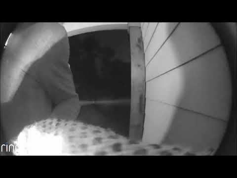 17 107808 Video Burglary BOLO