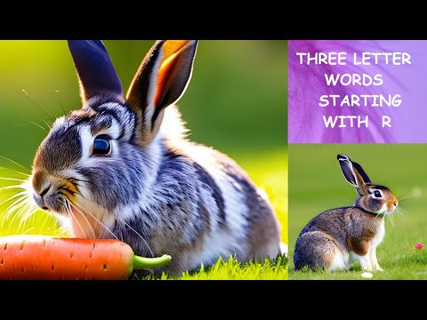 THREE LETTER WORDS STARTING WITH R / LEARN THREE LETTR WORDS / TINY TOTS STARS