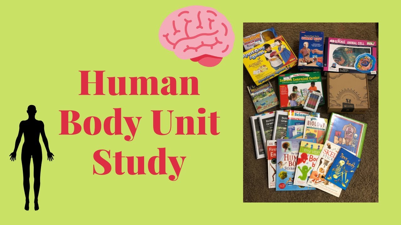 Human Body Homeschool Unit Study