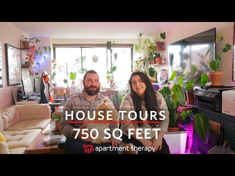 Two Dogs, Two People, and 175 Plants Share 750 Square Feet in NYC | House Tours | Apartment Therapy