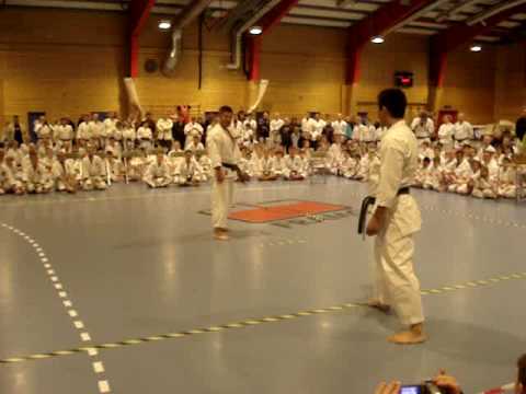 This is Karate: Ogata sensei & Okuma sensei demonstration