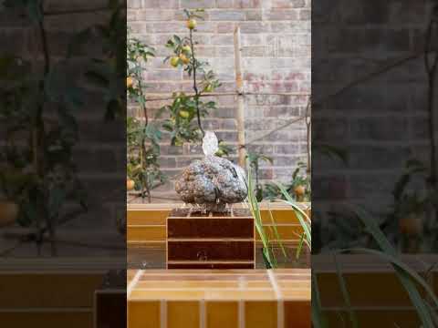 ExCinere®: Volcanic Innovation in Architecture