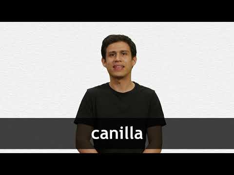 English Translation of “CANILLA” | Collins Spanish-English Dictionary