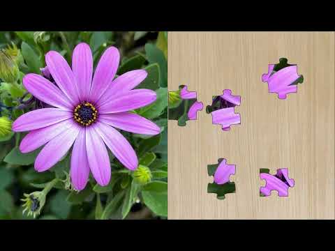 PhotoScape Jigsaw Puzzle