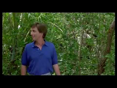 Captain Ron (funnies part 1)