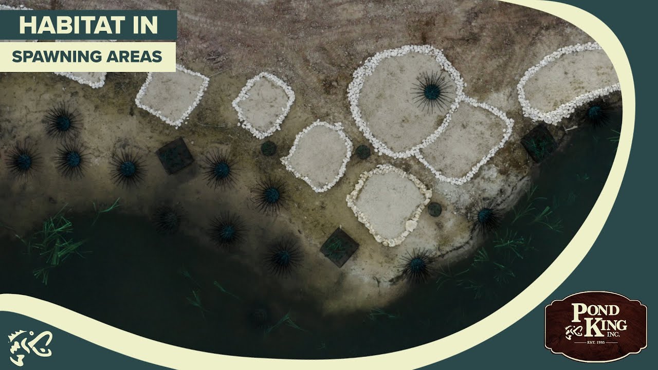 Enhancing Habitat in Spawning Areas