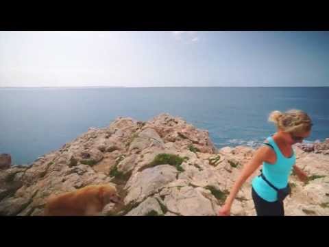 Contact – THE WALKING GURU