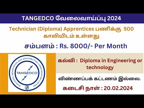 TNEB TANGEDCO Recruitment 2024 | 500 Diploma Apprentice Posts | Fresher Jobs 👉TN GOVERNMENT JOBS