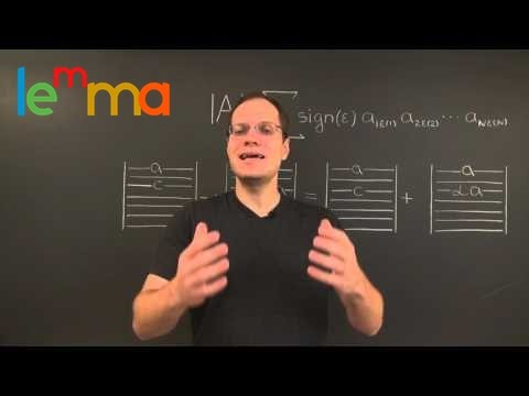 Linear Algebra 14TBD: The Effect of Adding a Multiple of One Row to Another on the Determinant