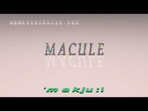 macule - pronunciation