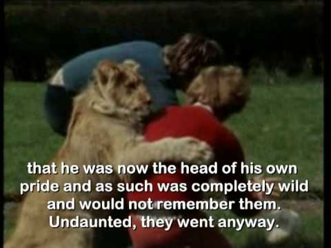 National No Rhyme (Nor Reason) Day! | Do512 Blog