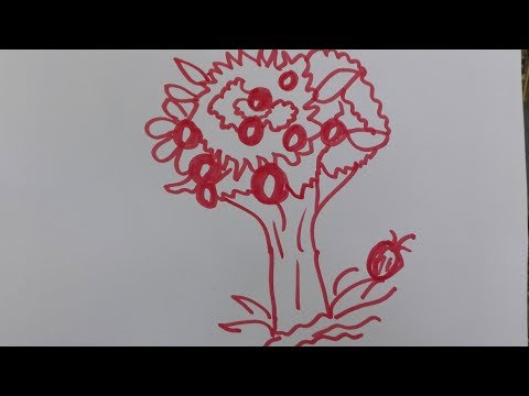 How to Draw Orange tree-diagram of an orange fruit-labelled diagram of ...