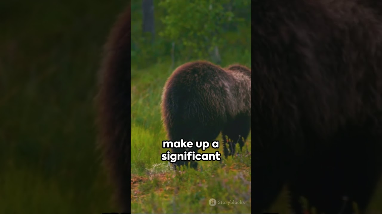 Do Bears Really Like Honey?