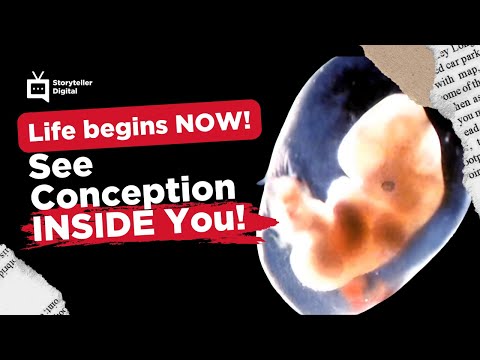 Is there a “Flash of Light” at Conception | The Lewis Crusade