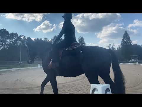 WDAA Western Dressage Intro Test 3 Amateur JamieLynne Weiss and First Impression #equestrian