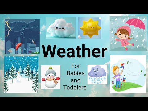 Weather For Kids || English Vocabulary || Learn Weather Conditions || @lifeofpreschoolers6259
