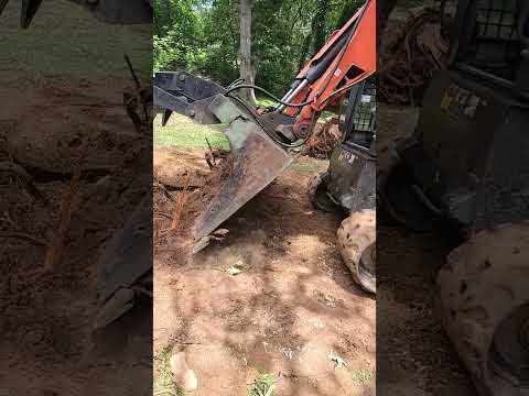 Stump grinding and skid steer pop #stump #gardening #construction