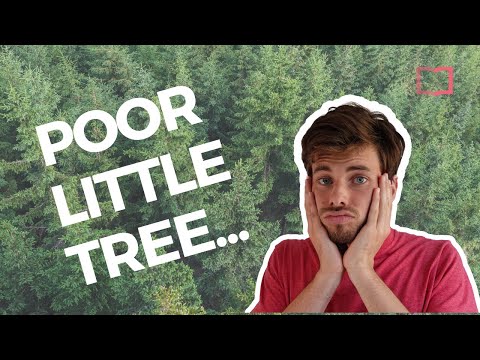 The Fir-Tree | Stories in Spanish for Beginners