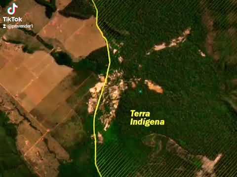Plataforma Brasil mais