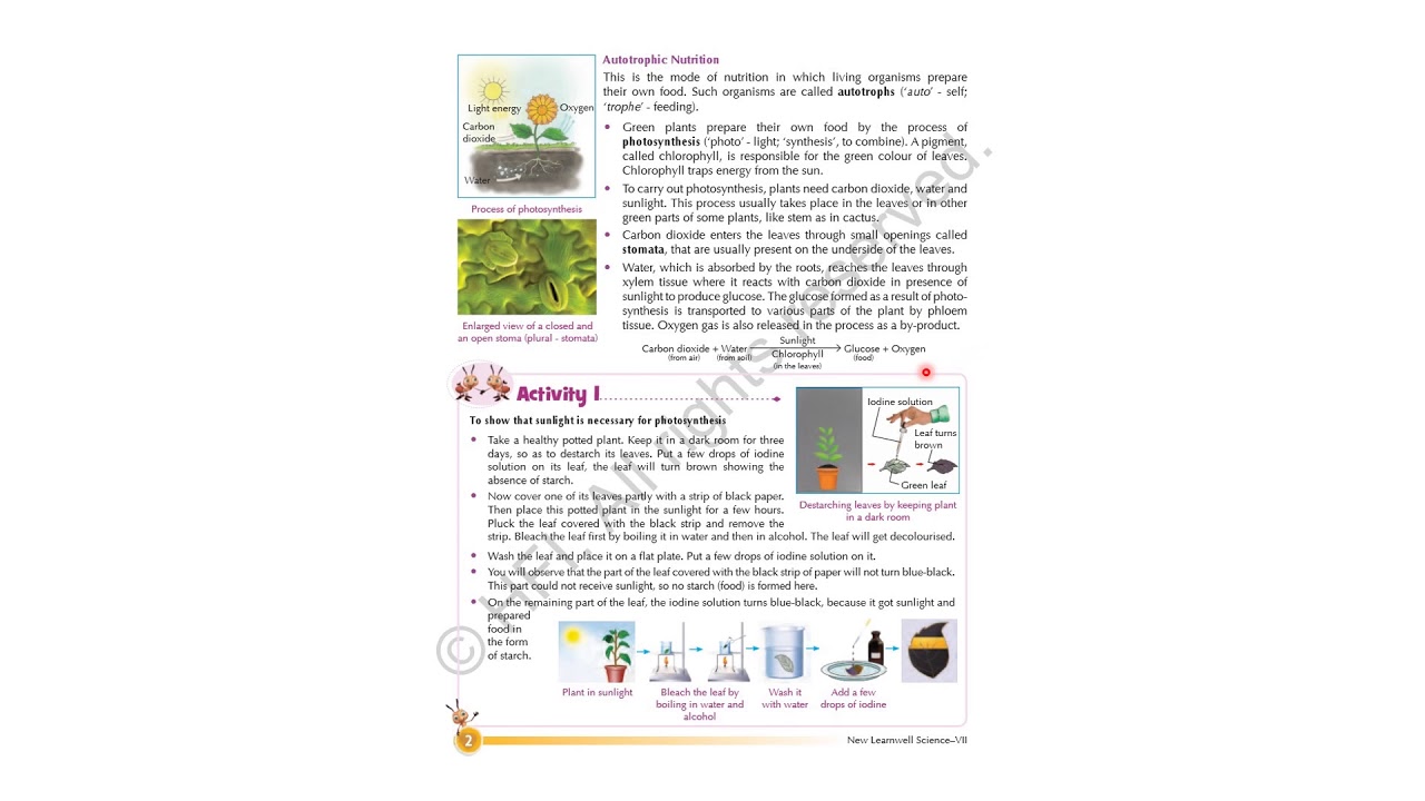 class 7 science chp-1#educational, #study material, #pdf document, #exercise solution is available