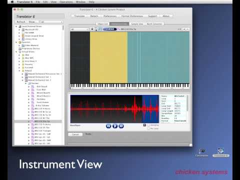 Chicken Systems Translator - Overview