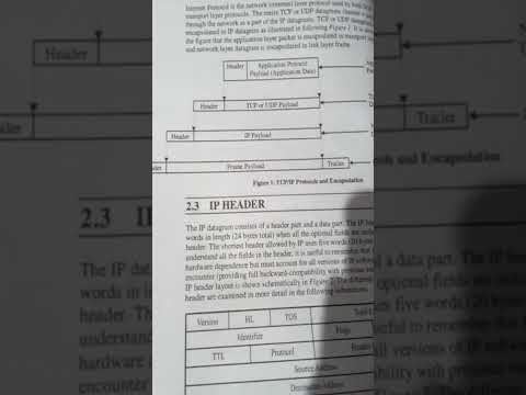 IP header in web #shorts #programming