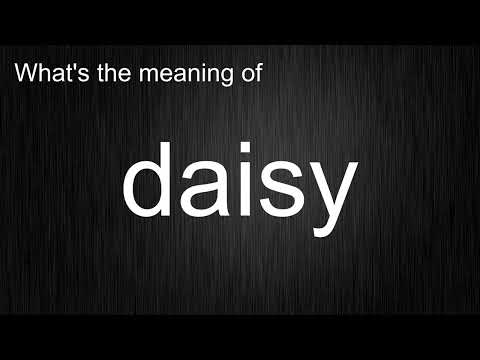 What's the meaning of "daisy", How to pronounce daisy?