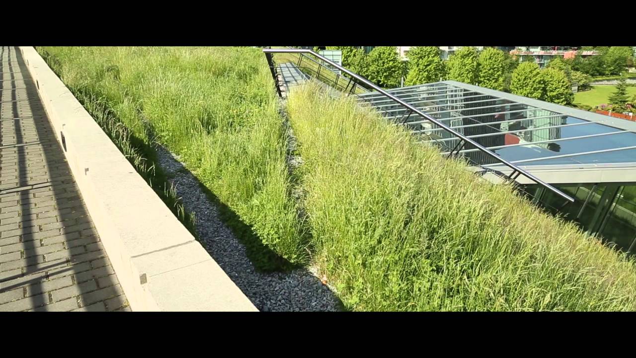 Smart City Challenge: Columbus, Ohio