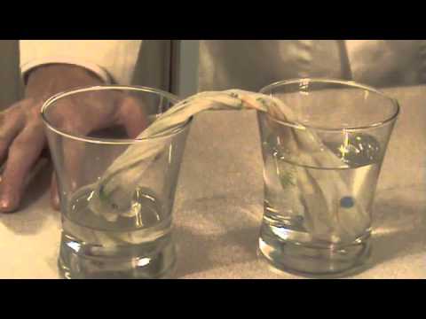 Capillary Action Experiment | Mr. Bost's 8th Grade Science Class