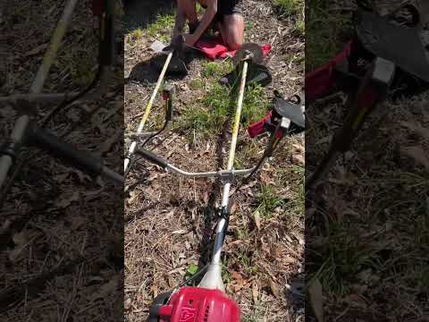 Clearing the some of the permaculture orchard.