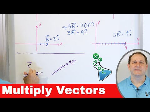 How to Multiply a Vector by a Scalar