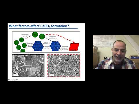 Lecture: From atoms to minerals: how calcium carbonates form and why we should care