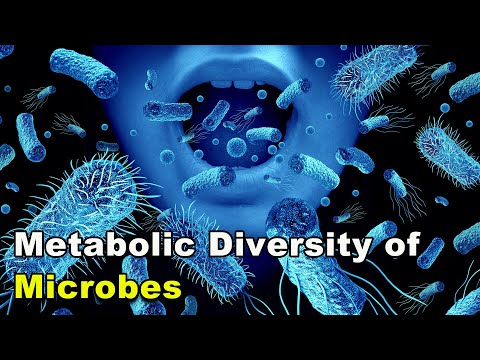 Metabolic Diversity of Microbes